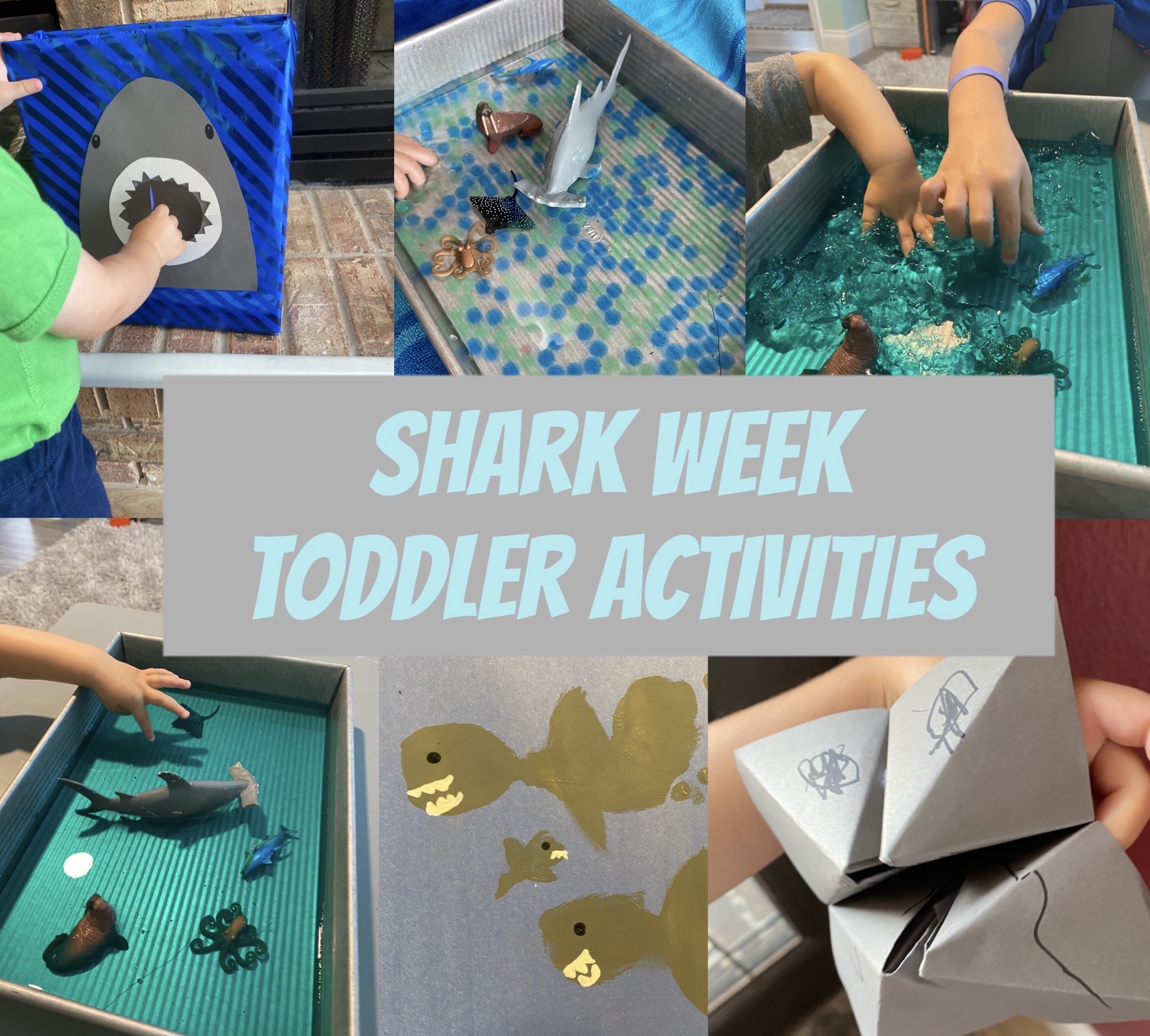 Baby Shark Dodo Dodo Dodo