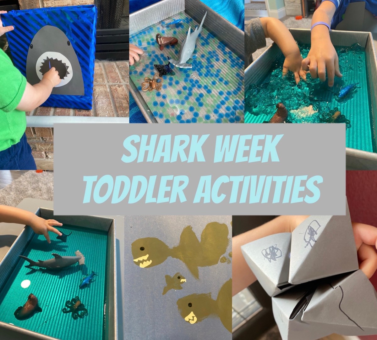 Baby Shark Dodo Dodo Dodo