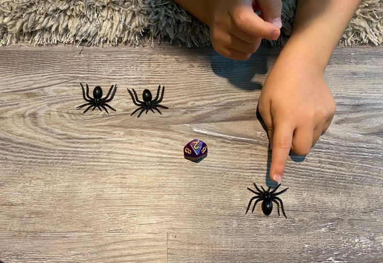 Creepy, Crawly SPIDERS!
