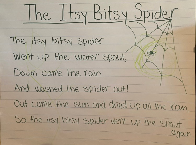 Creepy, Crawly SPIDERS!