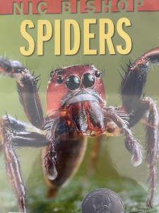 Creepy, Crawly SPIDERS!