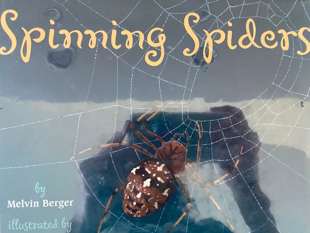 Creepy, Crawly SPIDERS!