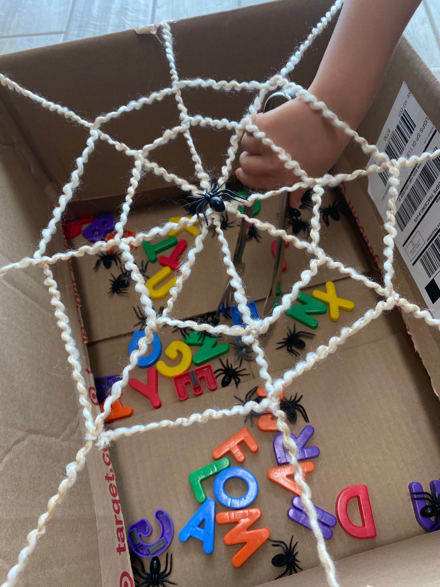 Creepy, Crawly SPIDERS!
