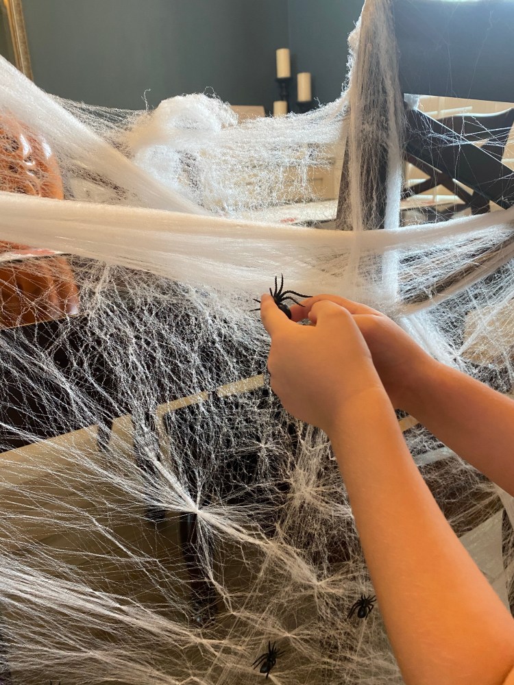 Creepy, Crawly SPIDERS!