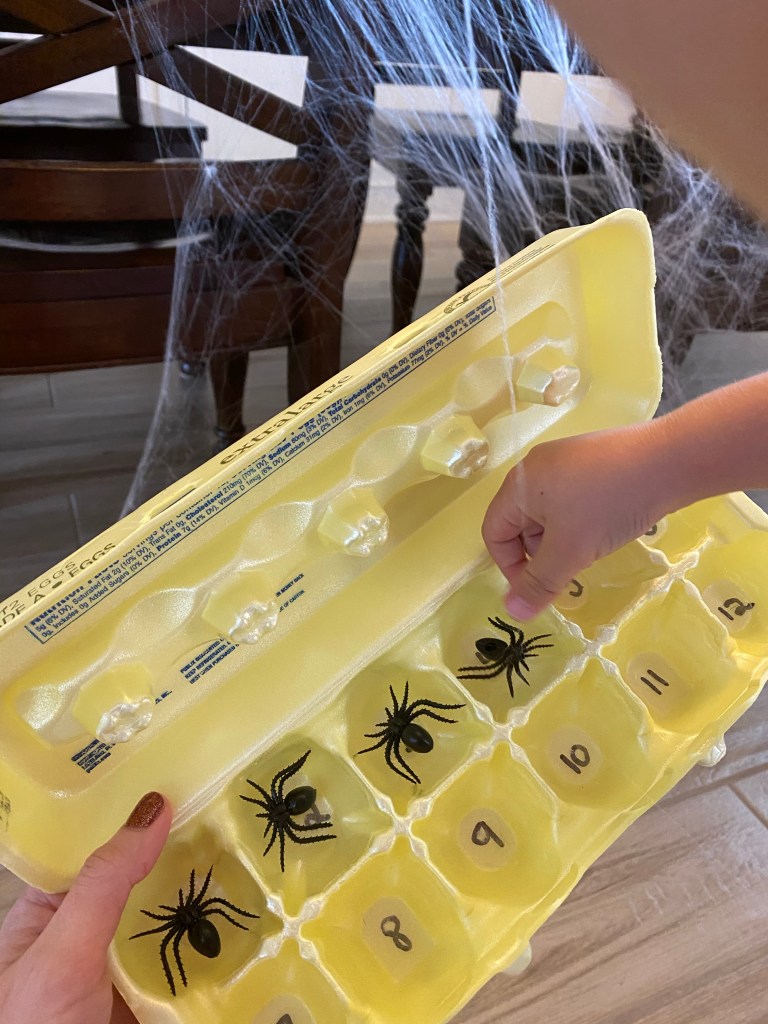 Creepy, Crawly SPIDERS!