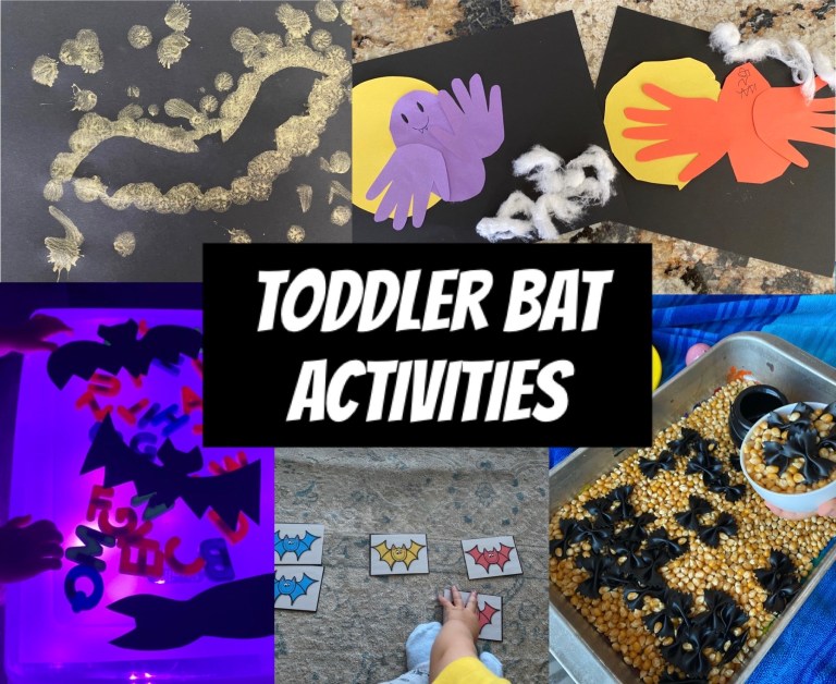 Beautiful Bats