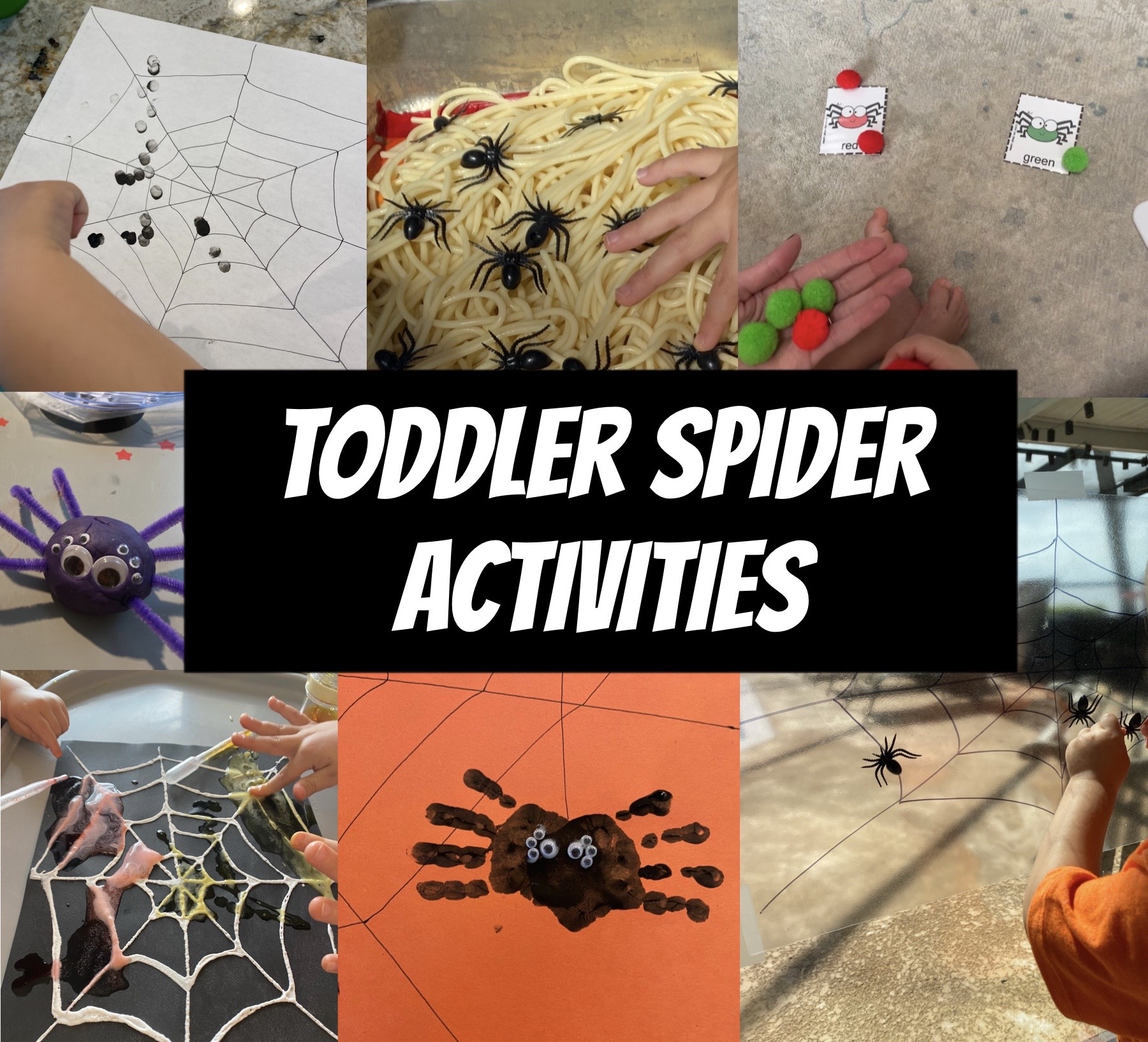 Aaaahhh! Spiders!