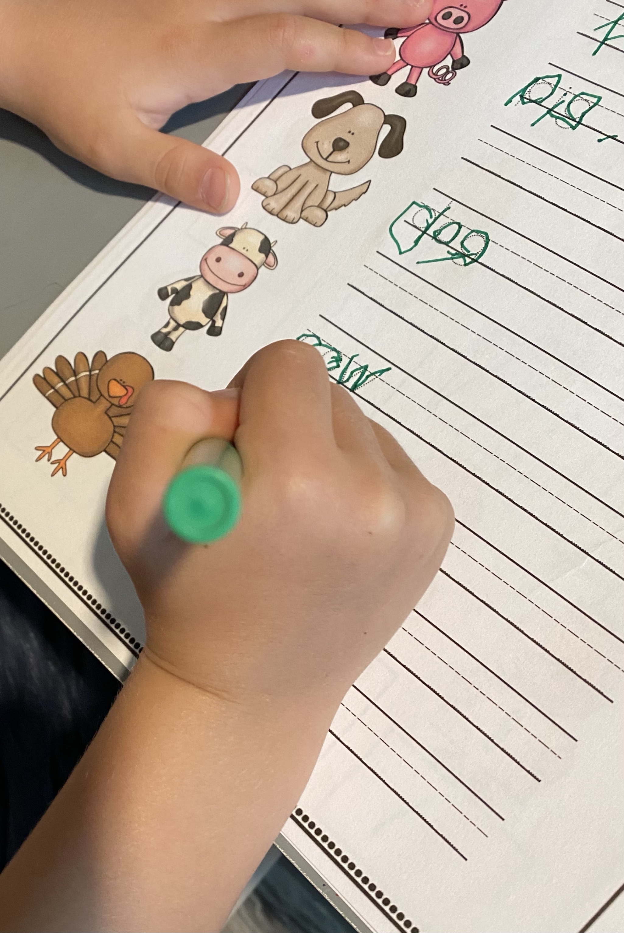 Old McDonald Had A Farm