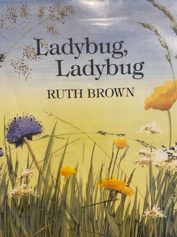 Ladybug, Ladybug Fly Away Home