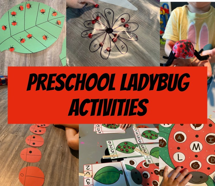 Ladybug, Ladybug Fly Away Home