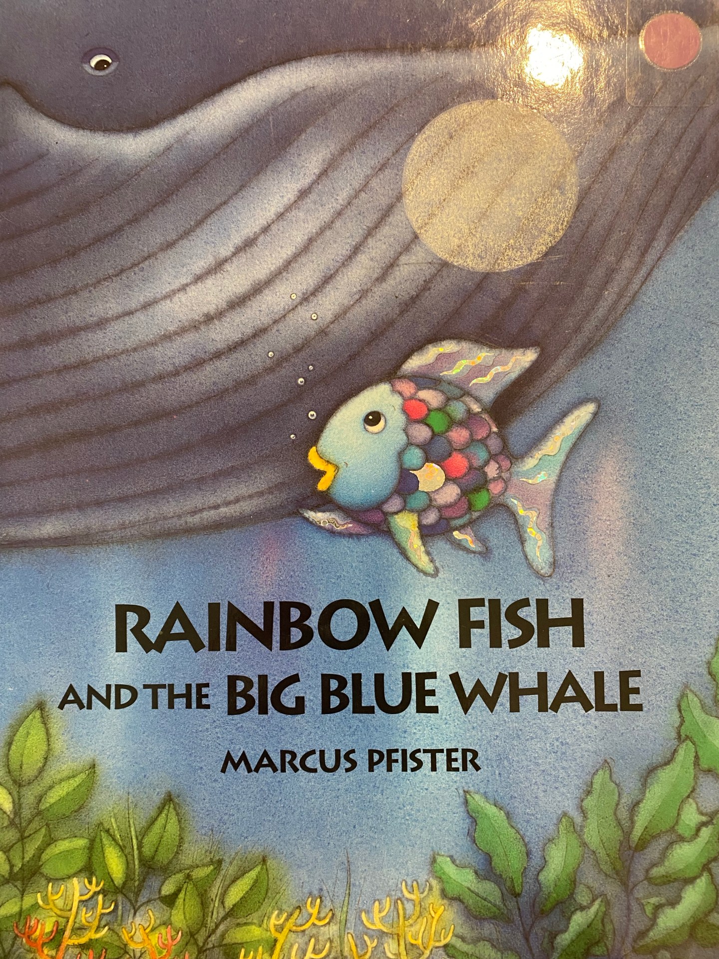 Rainbow Fish Book Study