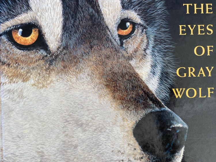 Learning with the Wolves