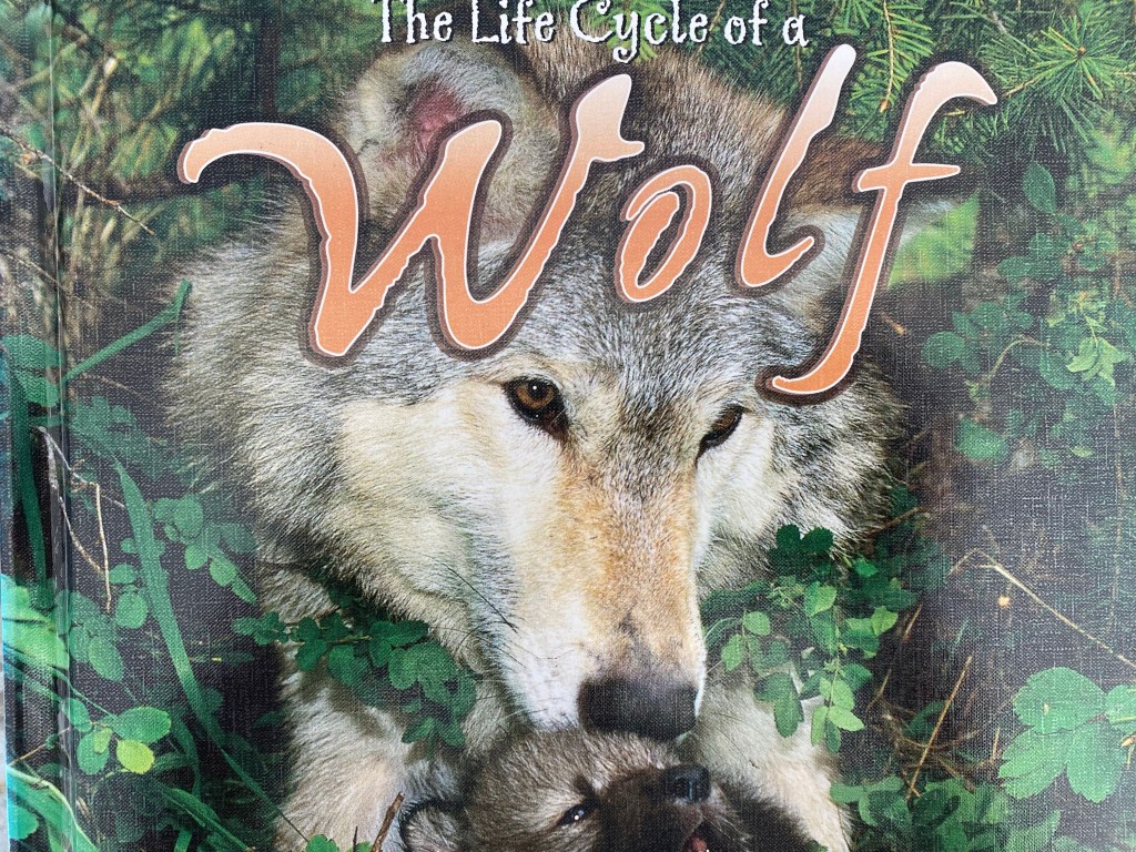 Learning with the Wolves