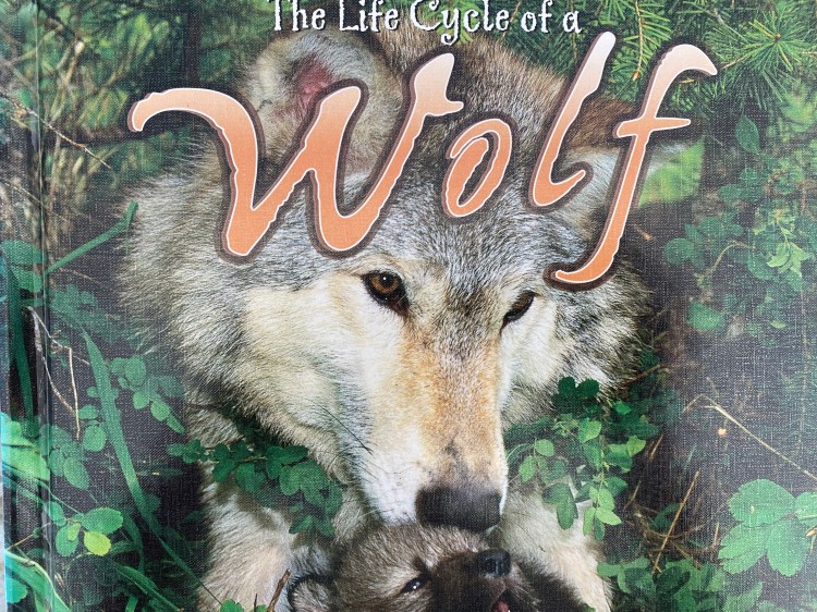 Learning with the Wolves