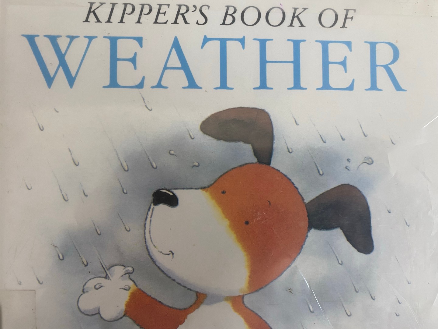 Wonderful Weather